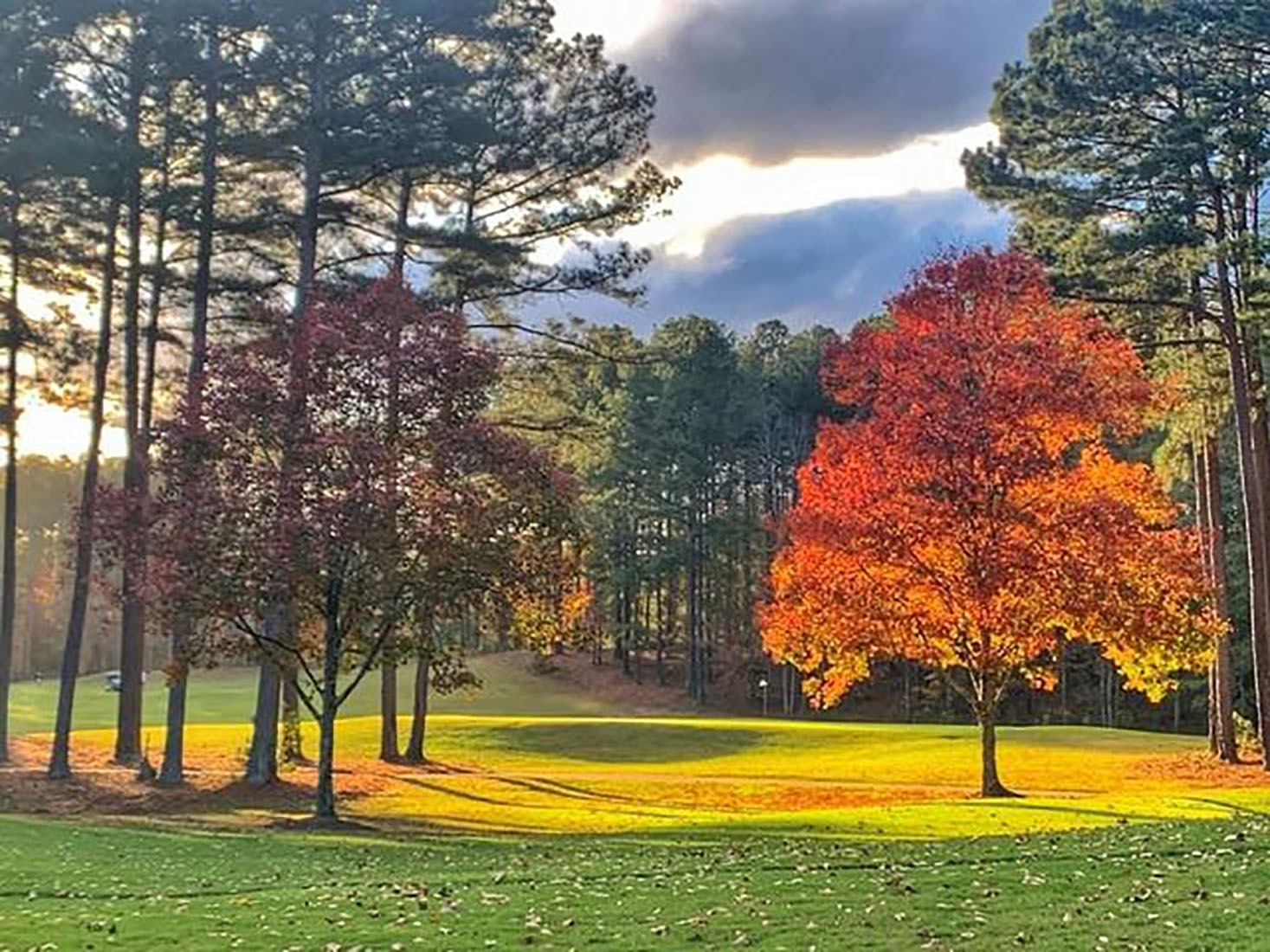 Course Information - The Frog